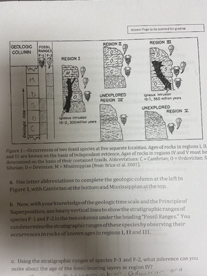 History of earth and lab notes - Exercise 1 Measuring Geologic Relative ...