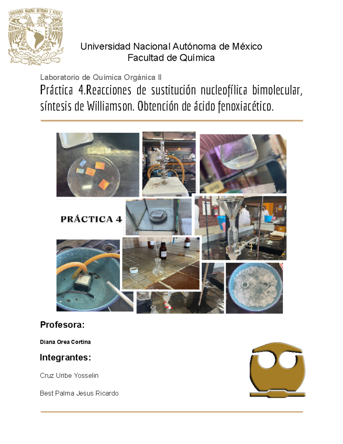 P4-Lab química orgánica ll - Universidad Nacional Autónoma de México ...