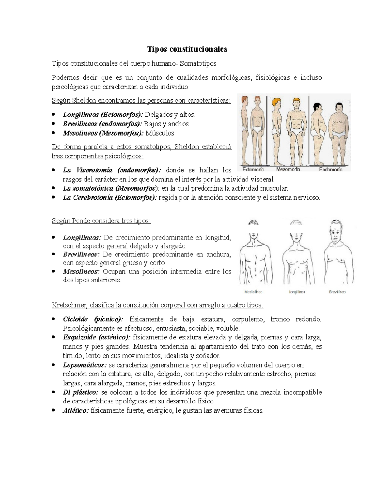 Tipos constitucionales - Tipos constitucionales Tipos constitucionales ...