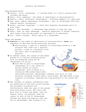 Chapter 22 Reproductive System - Understanding Words Andr-, man: andr ...