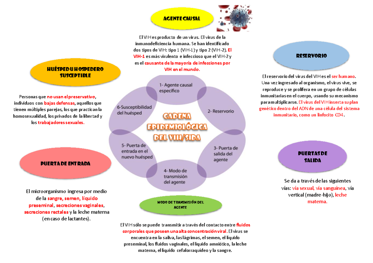 Cadena epidemiológica del VIH-SIDA - Agente causal Huésped u hospedero ...