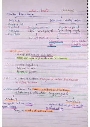 Bone development - In this notes, you will find information about the ...