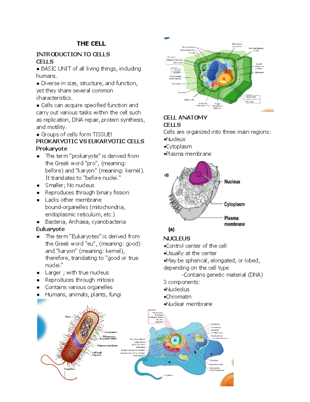 cells mweheheehehe - THE CELL INTRODUCTION TO CELLS CELLS BASIC UNIT of ...