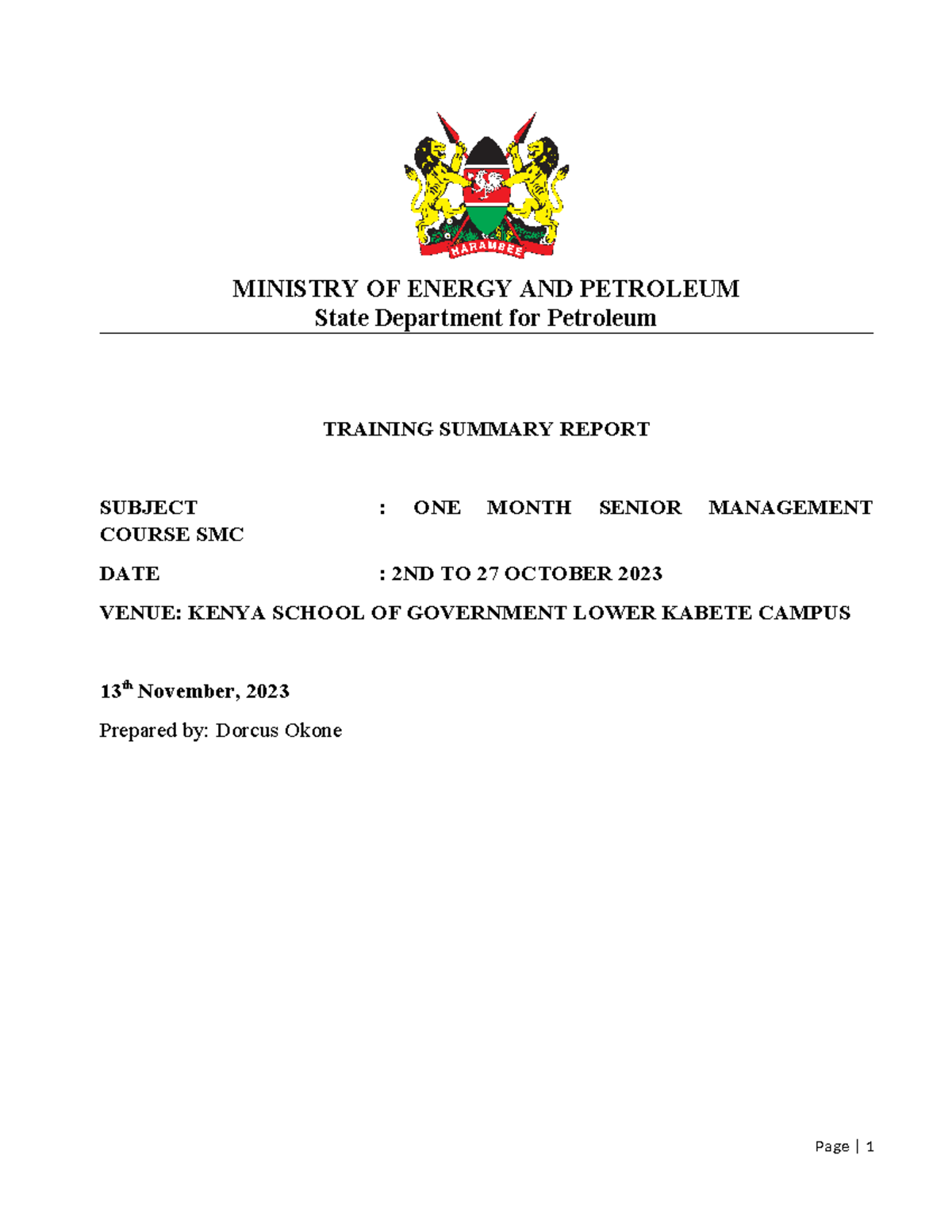 SMC Report Final 2 - training of proffesionls - MINISTRY OF ENERGY AND ...