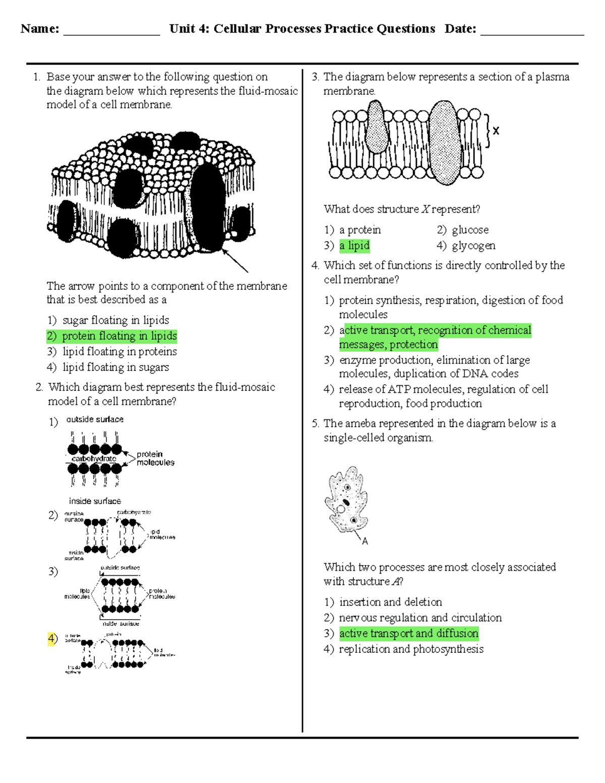Cell Membrane Transport Practice Test 1 - Name: ______________ Unit 4 ...