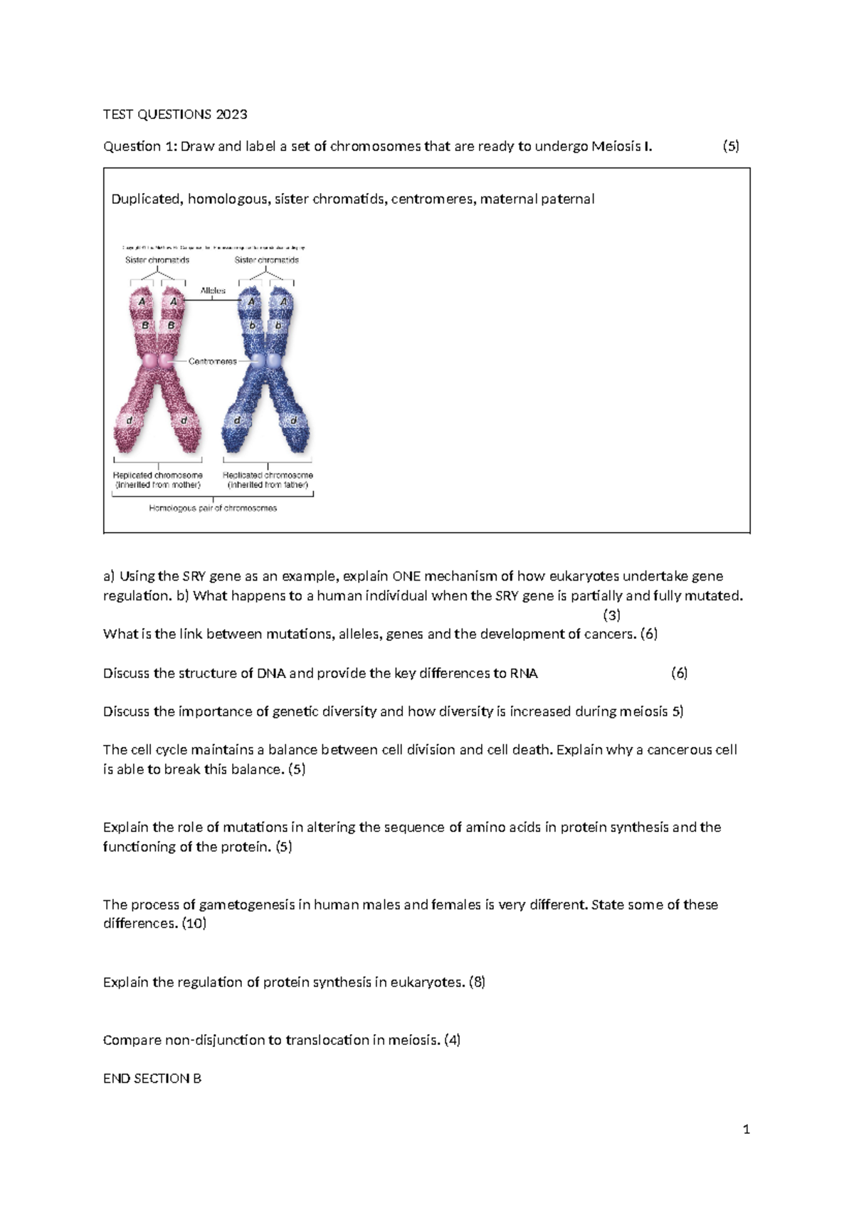 LSC141+test - TEST QUESTIONS 2023 Question 1: Draw and label a set of ...