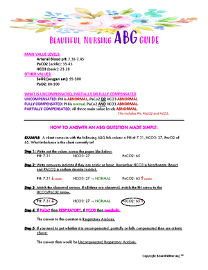 ABG Practice Worksheet - ABG Practice Choose from the following to ...