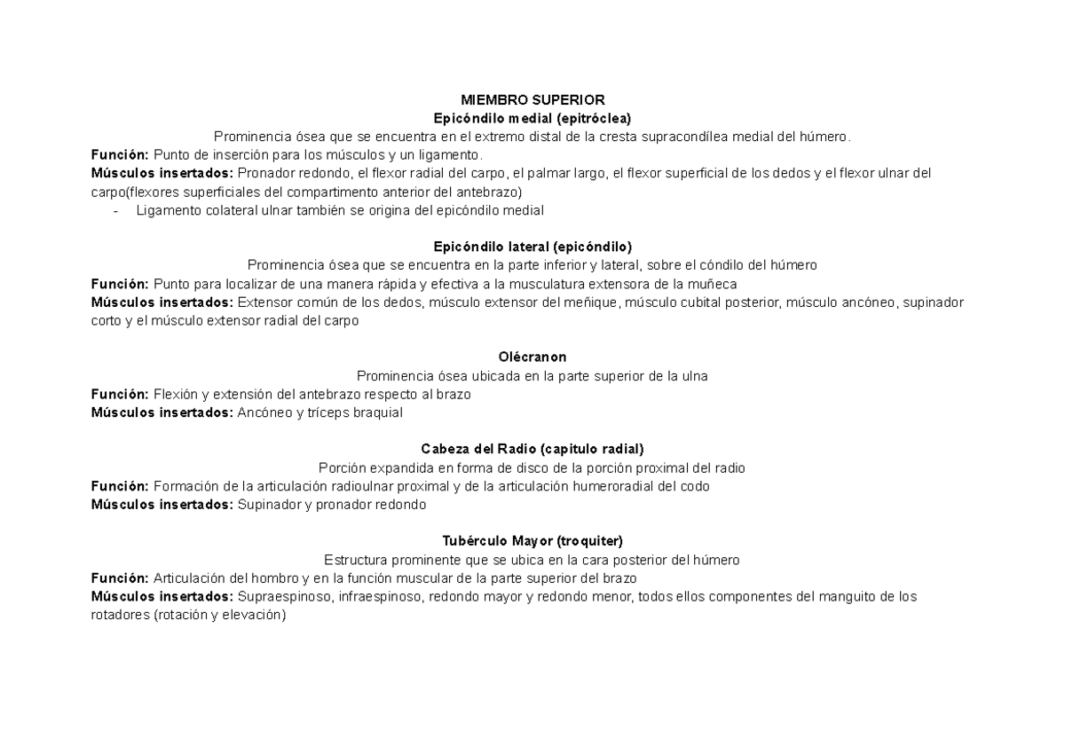 Miembro Superior (MM,SS) - MIEMBRO SUPERIOR Epicóndilo medial ...