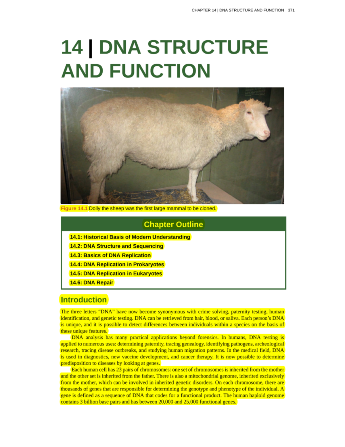 OSC Biology Ch 14 - DNA Structure and Replication - 14 | DNA STRUCTURE ...