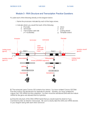2023 Fall Term BIO 3170 A00 Molecular Biology - Faculté des sciences | Faculty of Science - Studocu