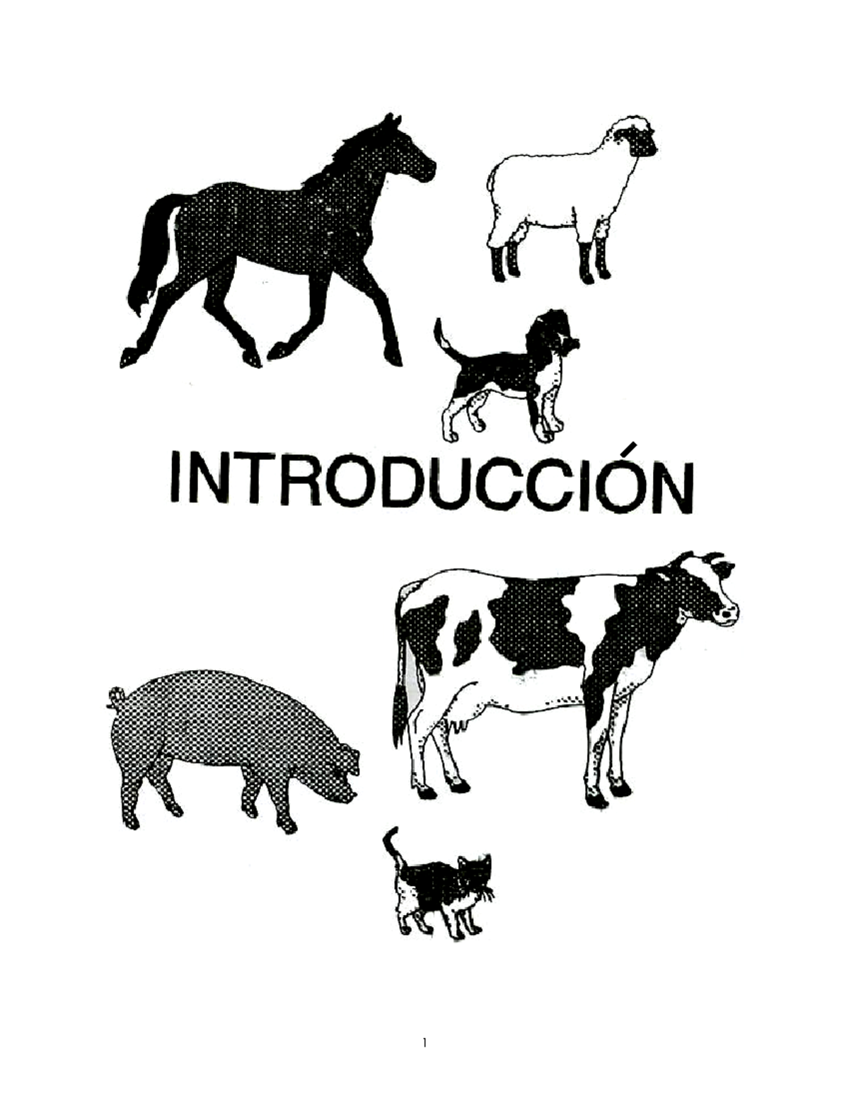 Introducción a la Anatomía Aplicada - Plano Dorsal Plano Transverso ...