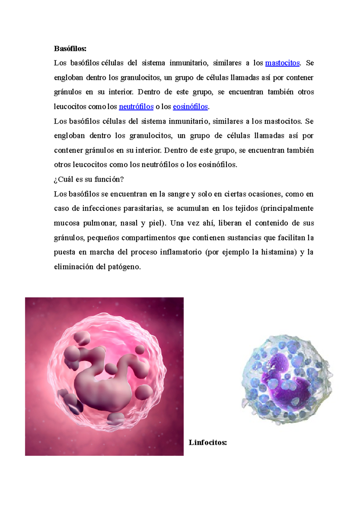 Biologia Celular - Resumen de conceptos microscopio - Basófilos: Los ...