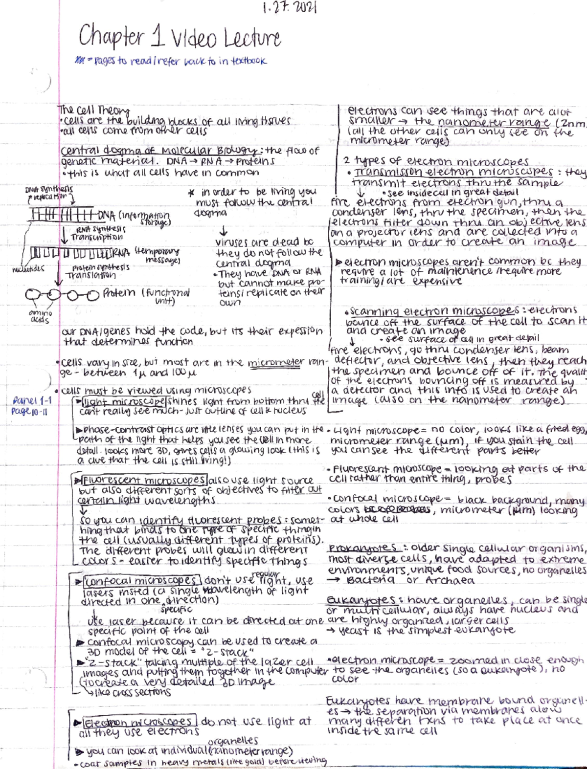 Cell Biology Lecture Notes for Chapters 1, 2, 3 - 1.27 Chapter 1 Video ...
