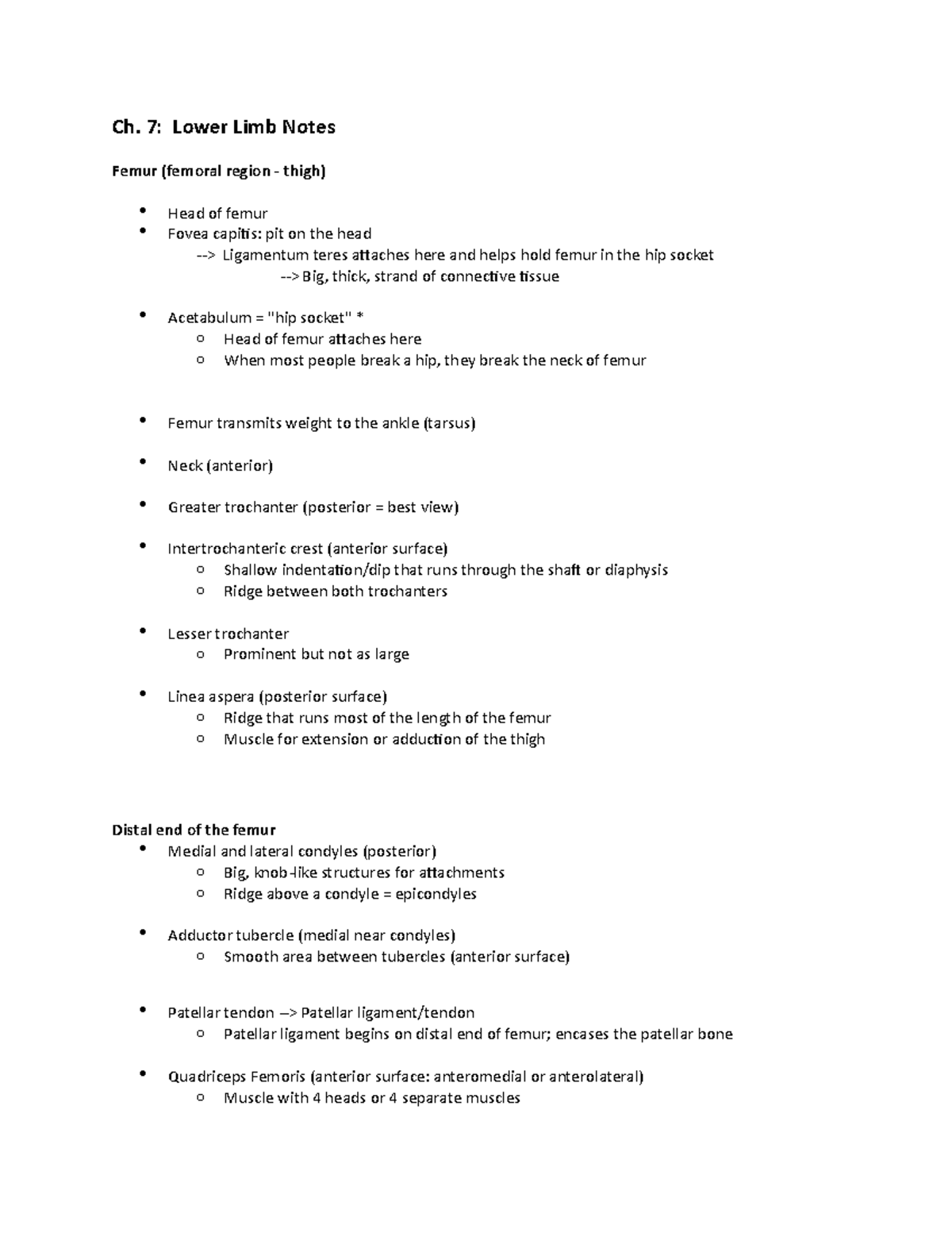Lower limb notes - Ch. 7: Lower Limb Notes Femur (femoral region ...