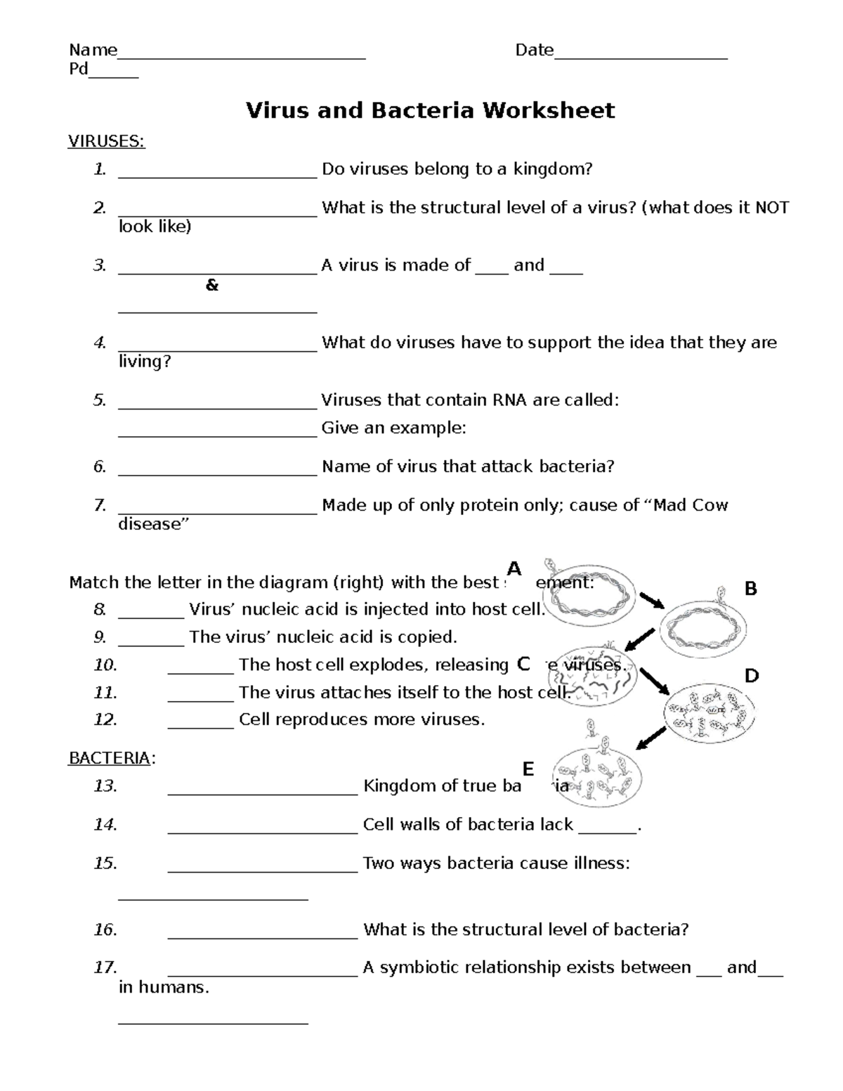 271242079 Virus and Bacteria Worksheet - Name ...