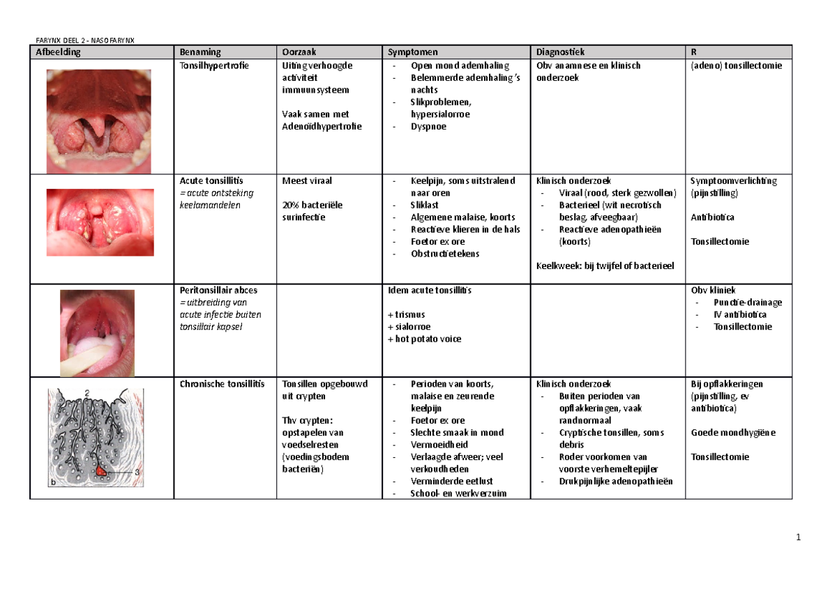 SV les 2 - farynx deel 2 - Afbeelding Benaming Oorzaak Symptomen ...