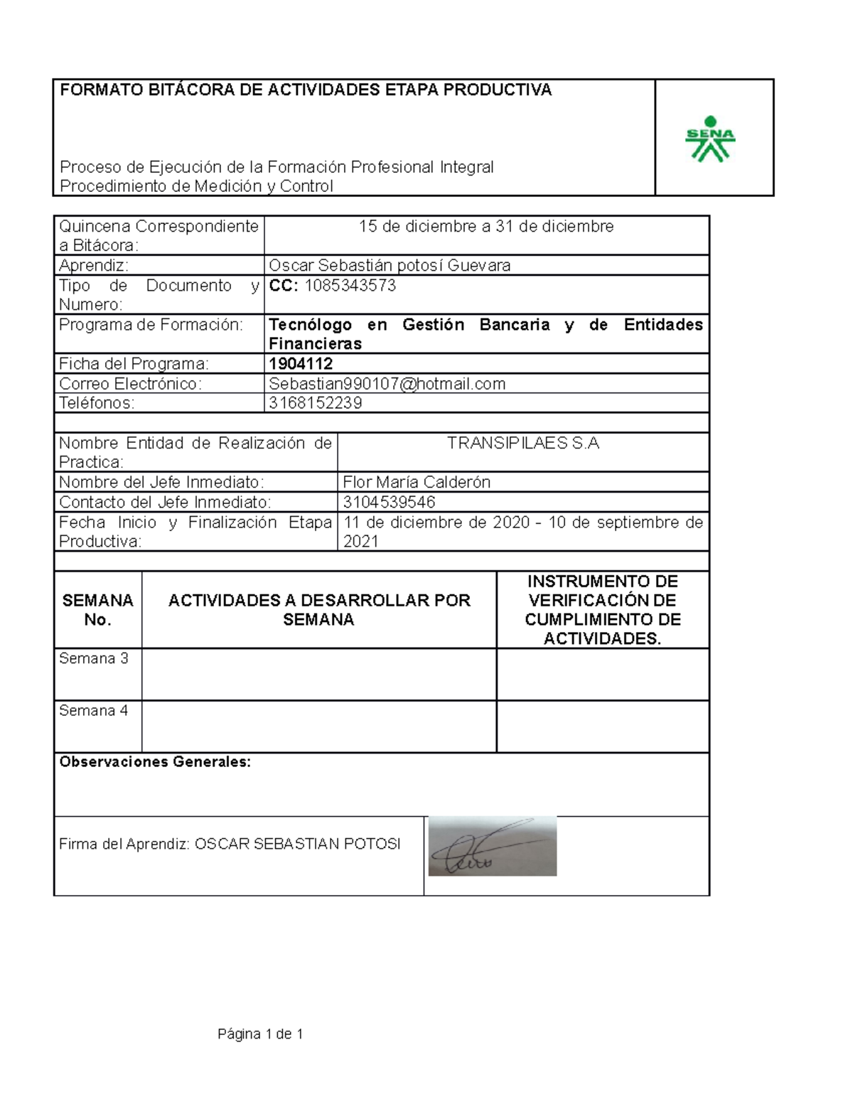 Formato Bitacora PARA Llenar - FORMATO BITÁCORA DE ACTIVIDADES ETAPA ...