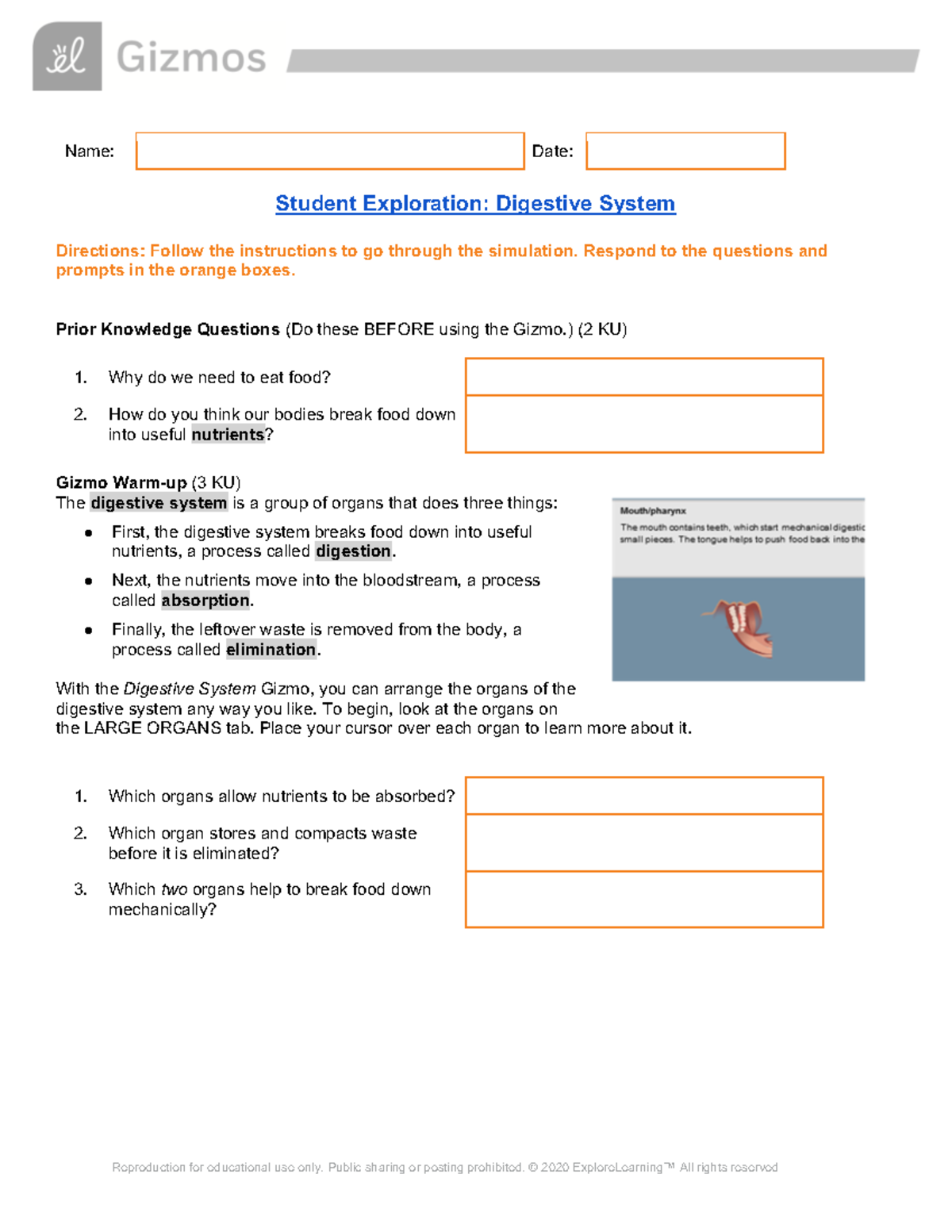 Copy of Digestive System Lab - Name: Date: Student Exploration ...