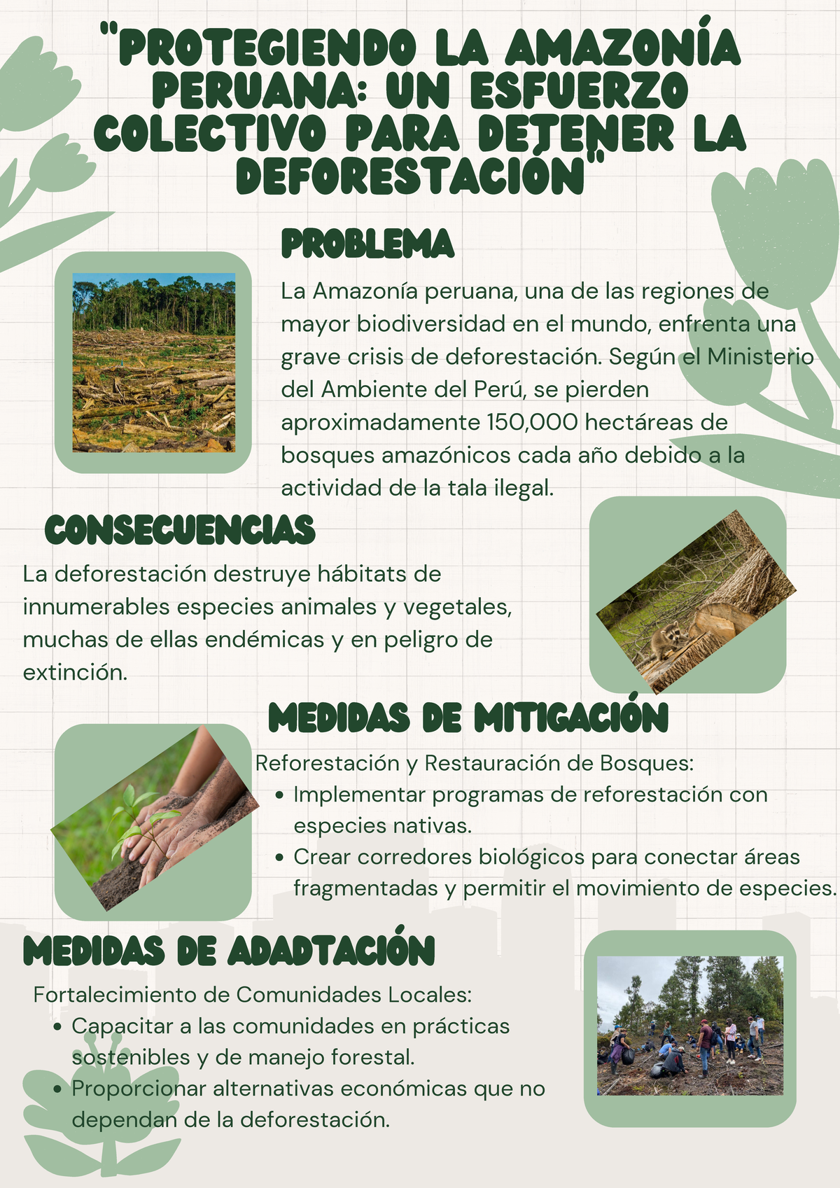 Infografia tala de arboles - "PROTEGIENDO LA AMAZONÍA PERUANA: UN ...
