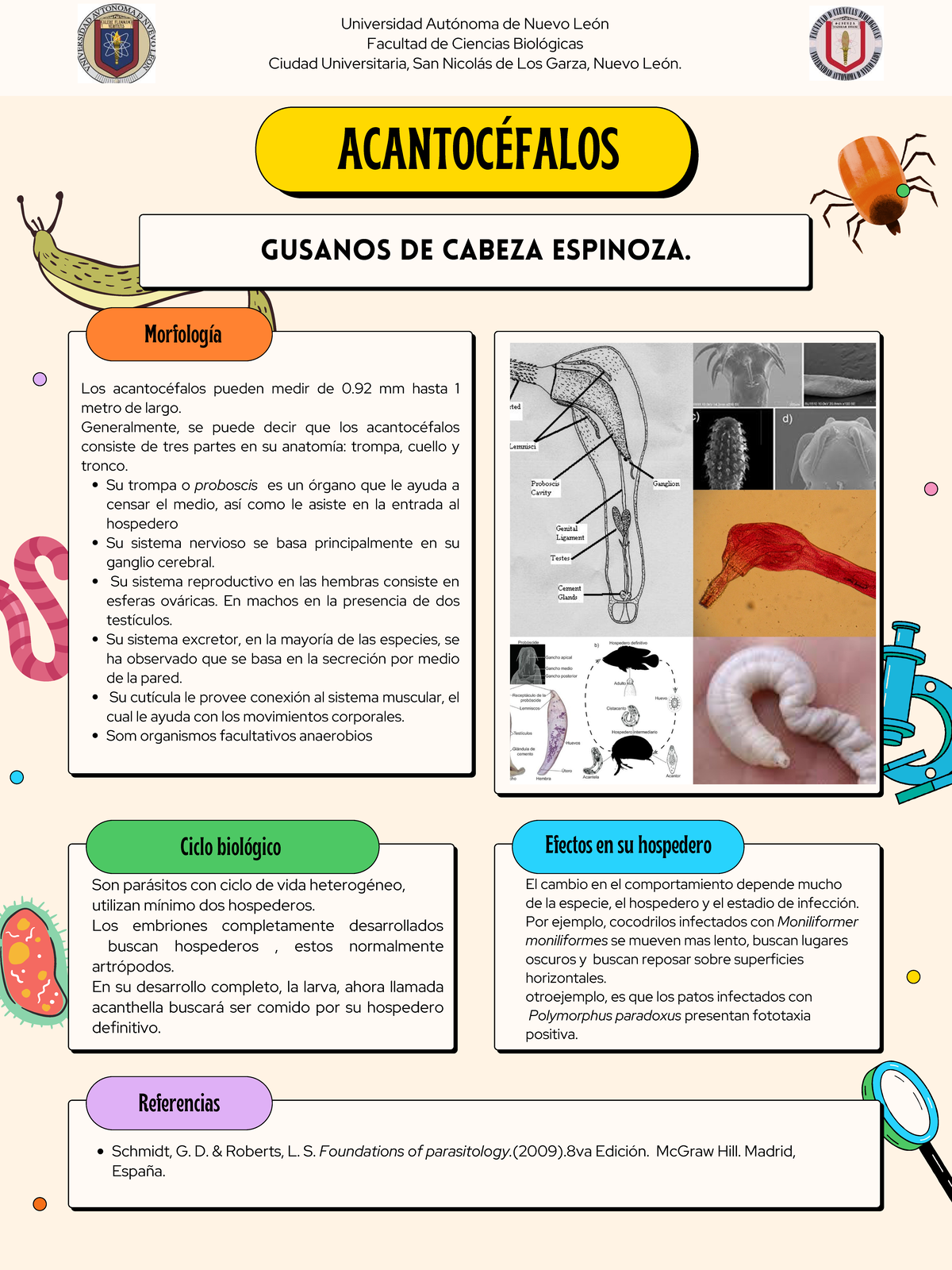 Póster 1 - ACANTOCÉFALOS Gusanos de cabeza espinoza. Son parásitos con ...