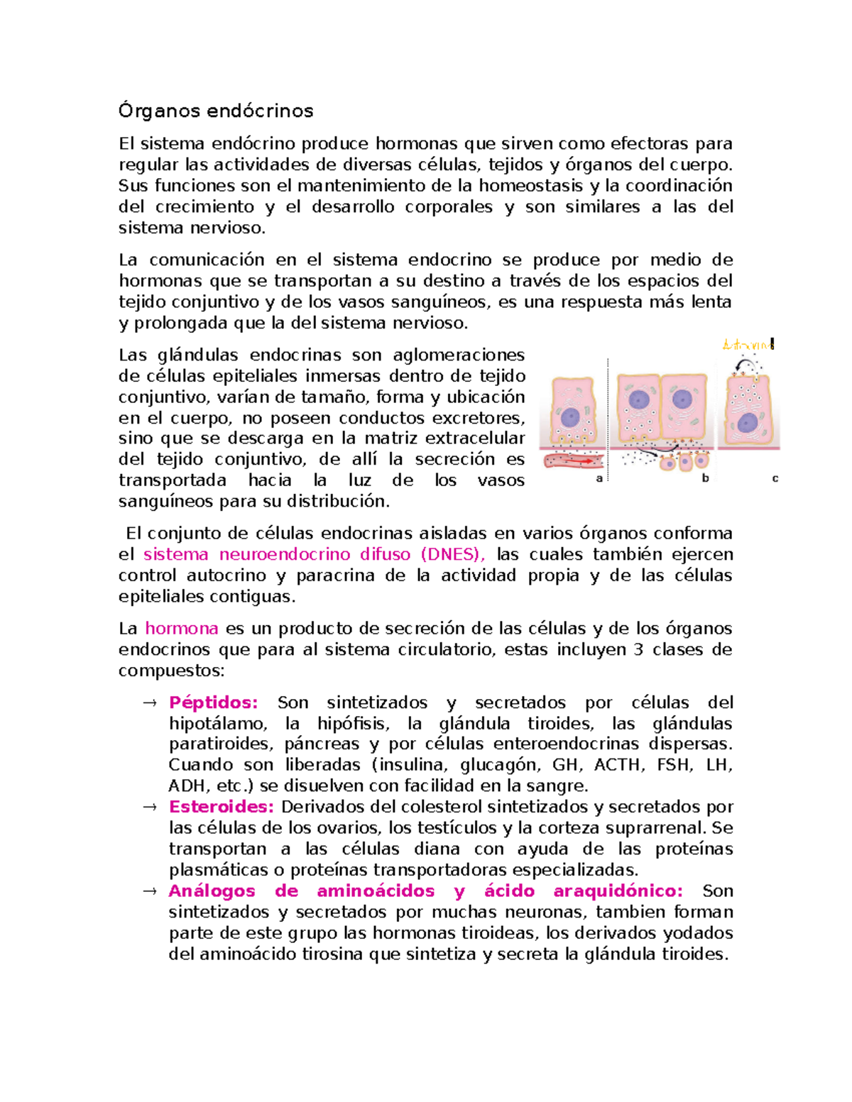 Órganos endócrinos - Órganos endócrinos El sistema endócrino produce ...