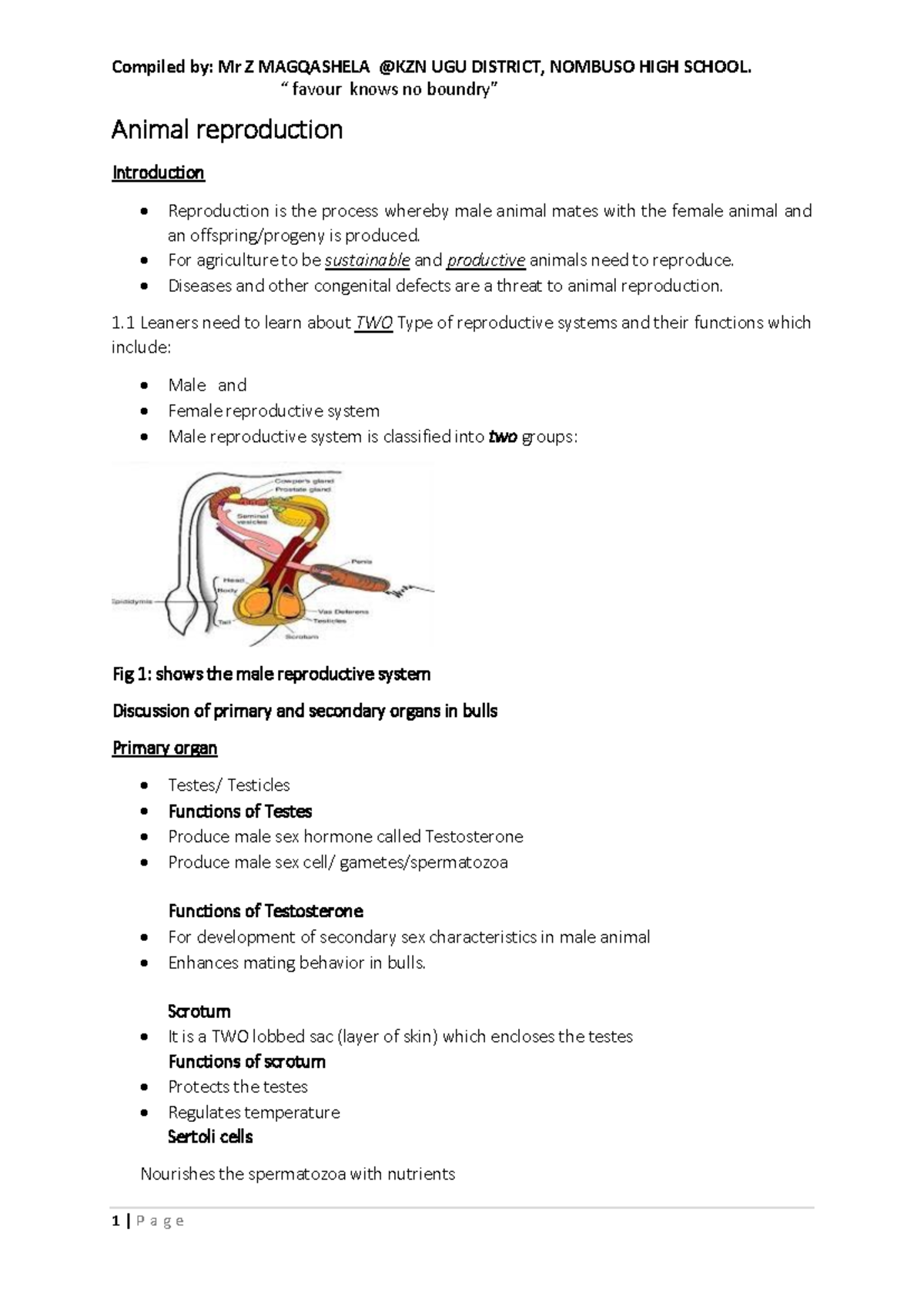 Animal reproduction compiled notes - “ favour knows no boundry” Animal ...
