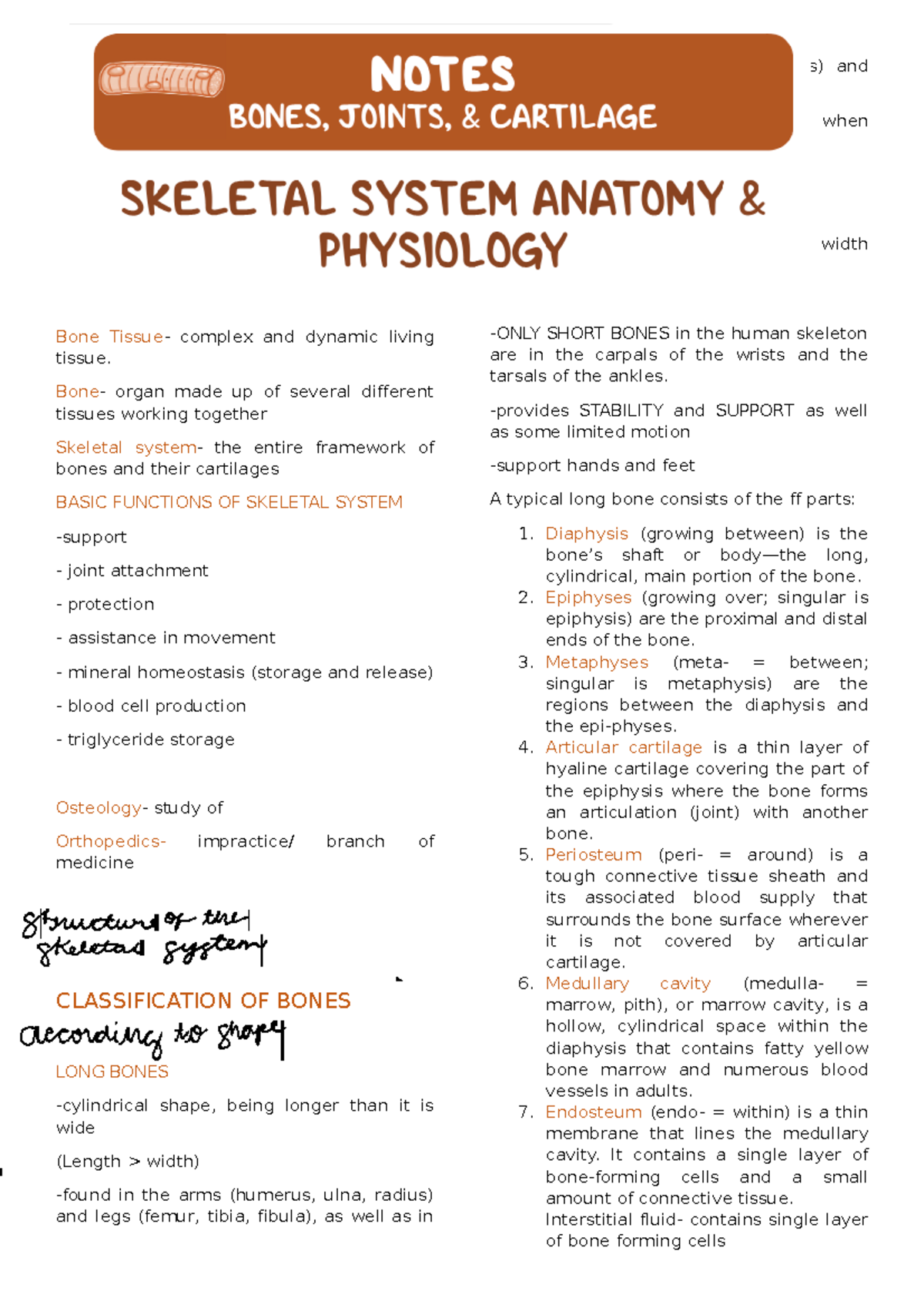 Skeletal Notes - reviewer - Bone Tissue- complex and dynamic living ...