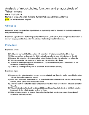 Cell Biology Ch 4 Essential Concepts - Cell Biology Ch. 4 Essential ...