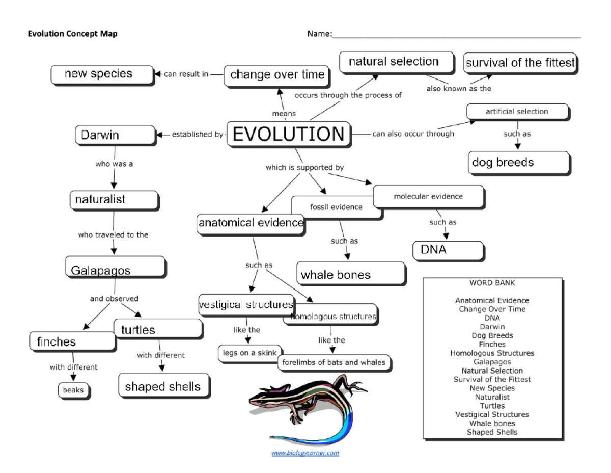 Annotated-Evolution-Concept-Map- 1 - BS 161 - Studocu