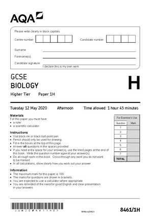 Memory 16 marker plans - Outline and evaluate research into coding ...