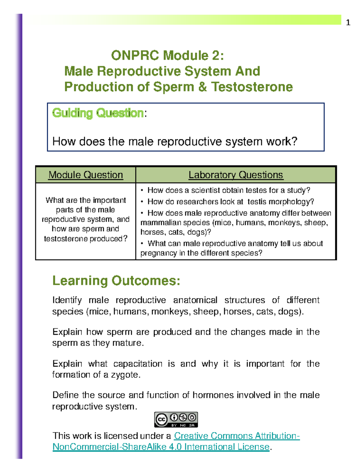 6i. Male Reproduction - Onprc Module 2-Student Handout - ONPRC Module 2 ...