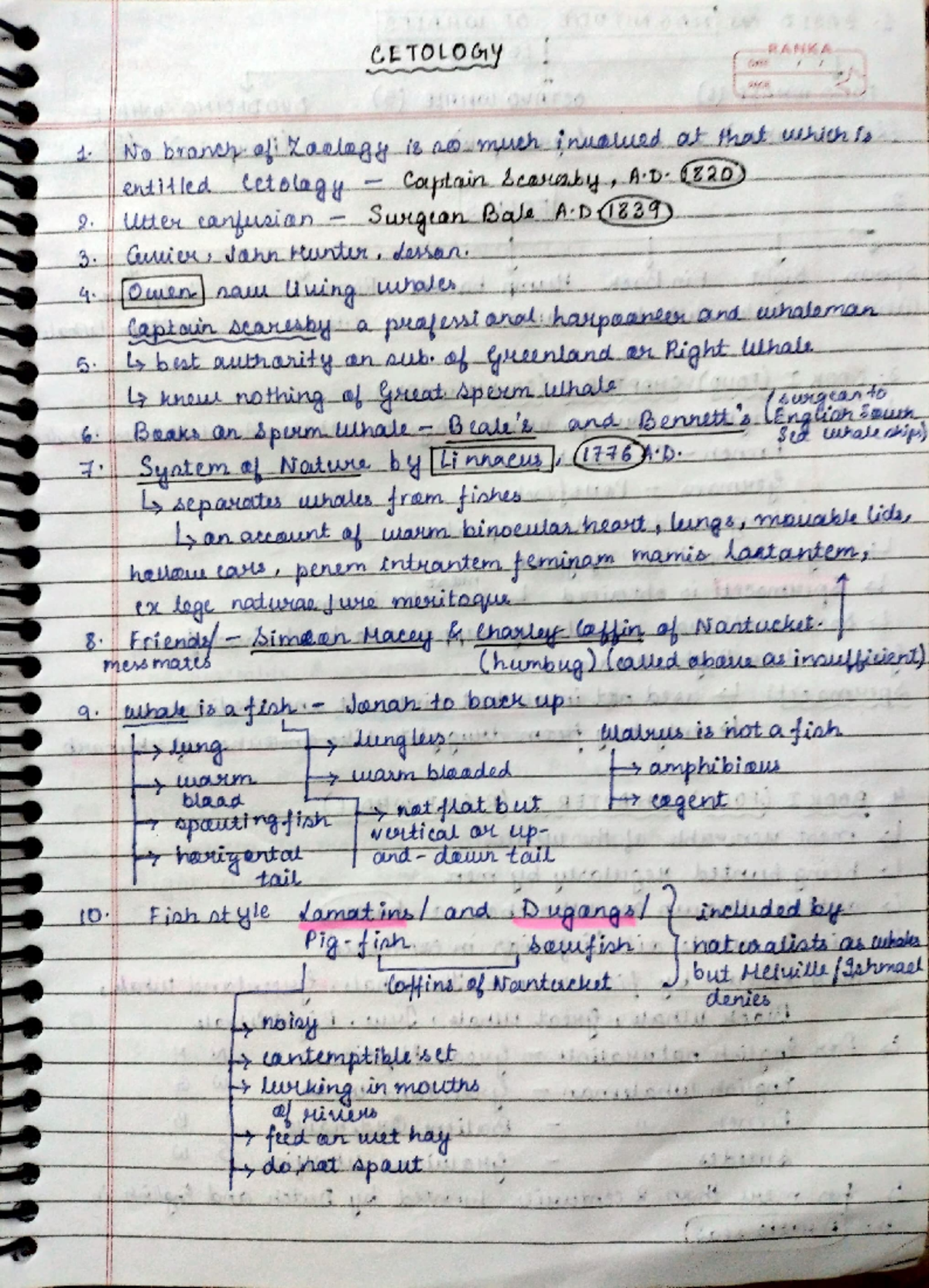 Cetology - Summary Moby Dick; or, The Whale - l - CL TOLOV1V ...