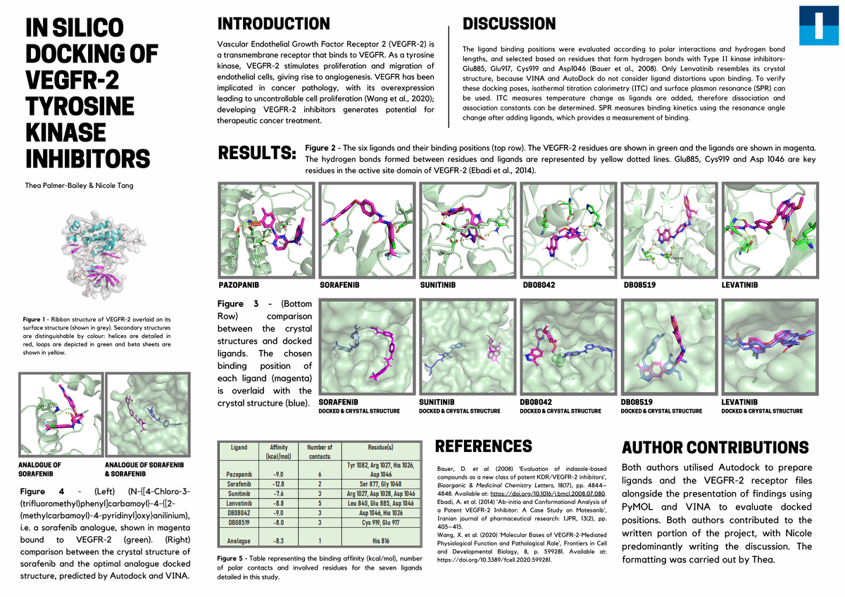 Docking poster PS - ANALOGUE OF SORAFENIB ANALOGUE OF SORAFENIB ...
