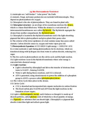Photosynthesis-worksheet-key - Photosynthesis: Making Energy ...