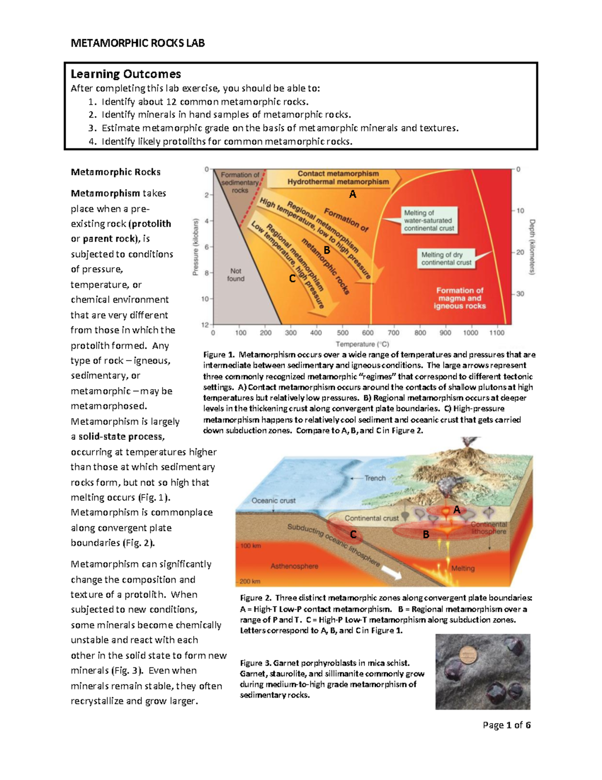 Lab 5 - 5th lab - METAMORPHIC ROCKS LAB Learning Outcomes After ...