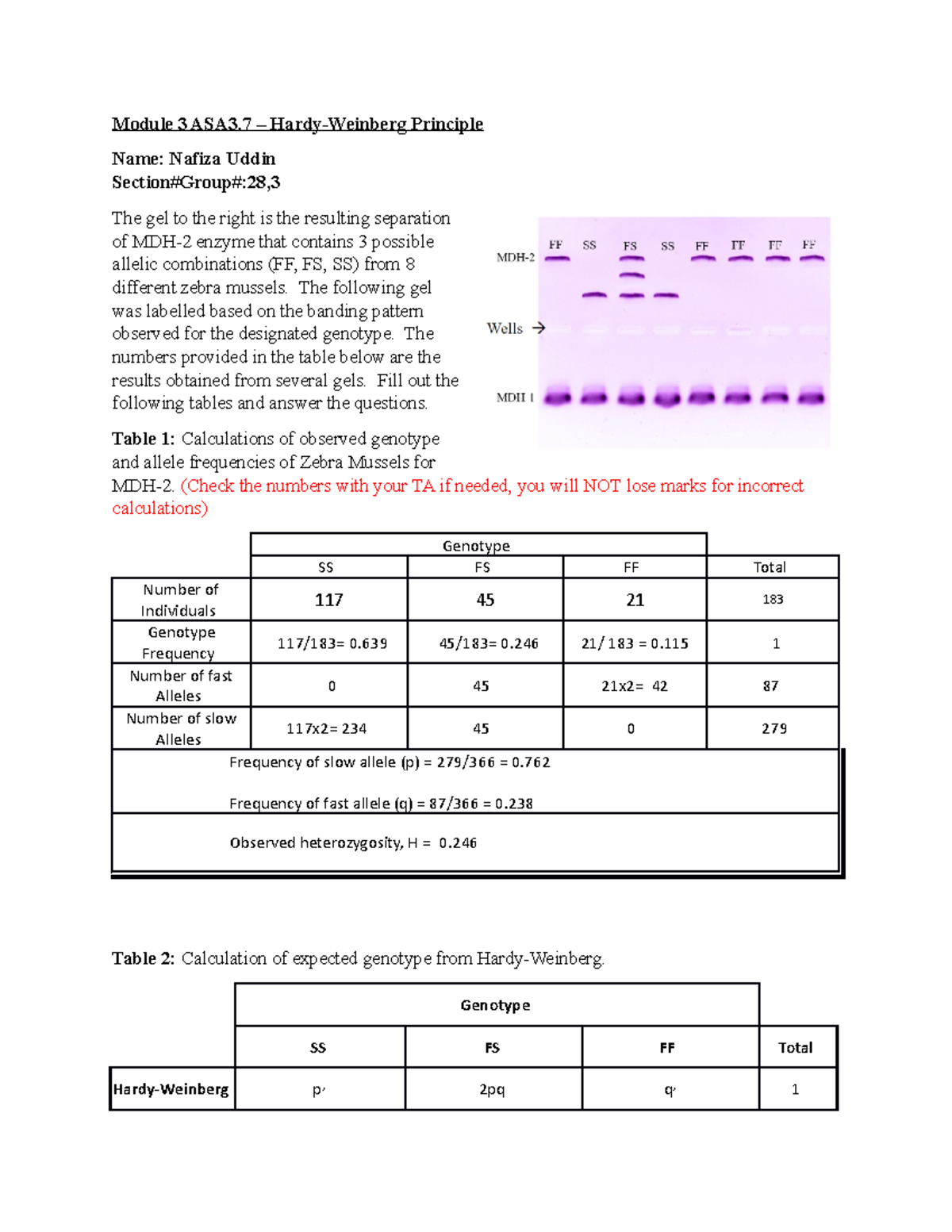 Module 3 ASA 3.7 HWE - tutorial - Module 3 ASA3 – Hardy-Weinberg ...