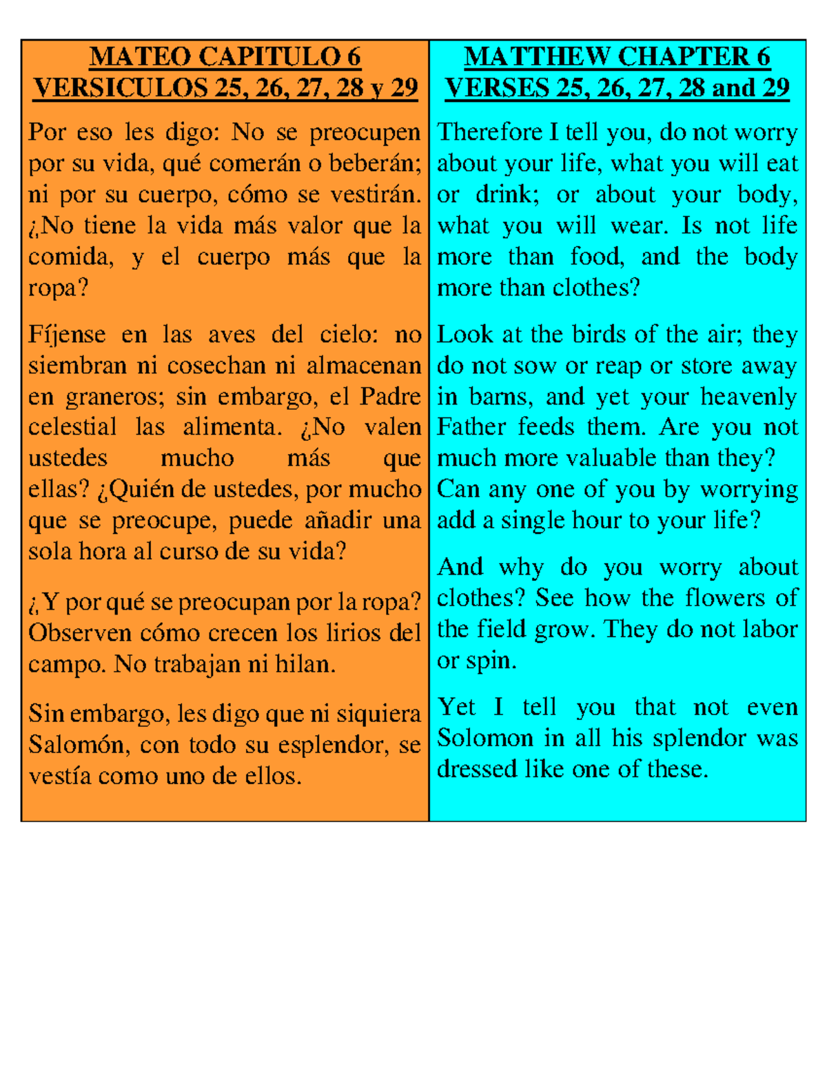 Matthew Chapter 6 Verses 25 - 29 - MATEO CAPITULO 6 VERSICULOS 25 , 26 ...