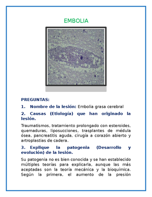 10. Células Lábiles, Células Permanentes Y Células Estables - CÉLULAS ...