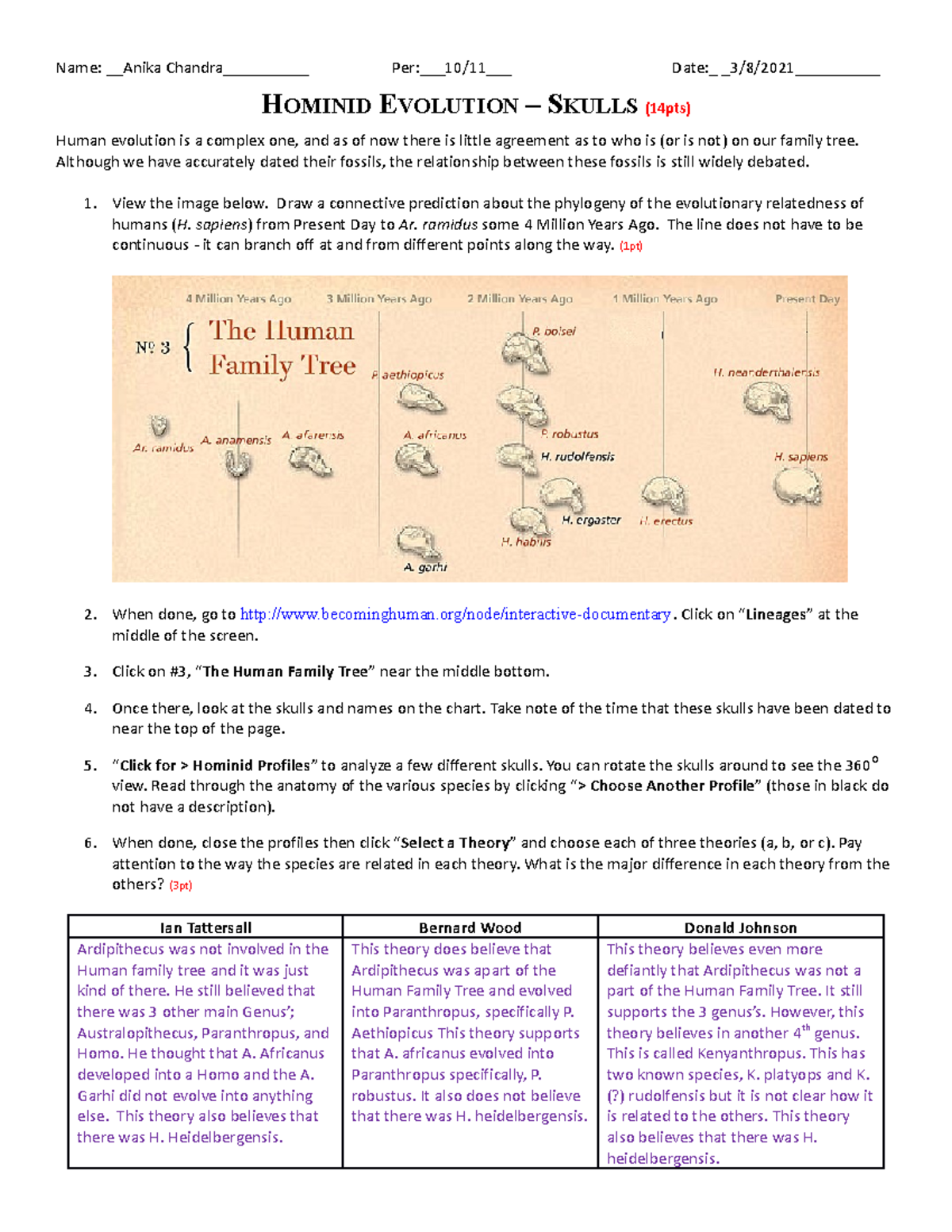 1 Hominid Evo Skulls (2021)-1 - Name: Anika Chandra________ Per:10/11 ...