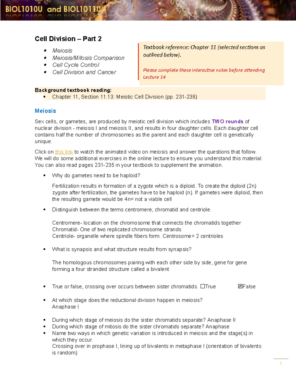 L14 Cell Division 2 Interactive notes - Cell Division – Part 2 Meiosis ...