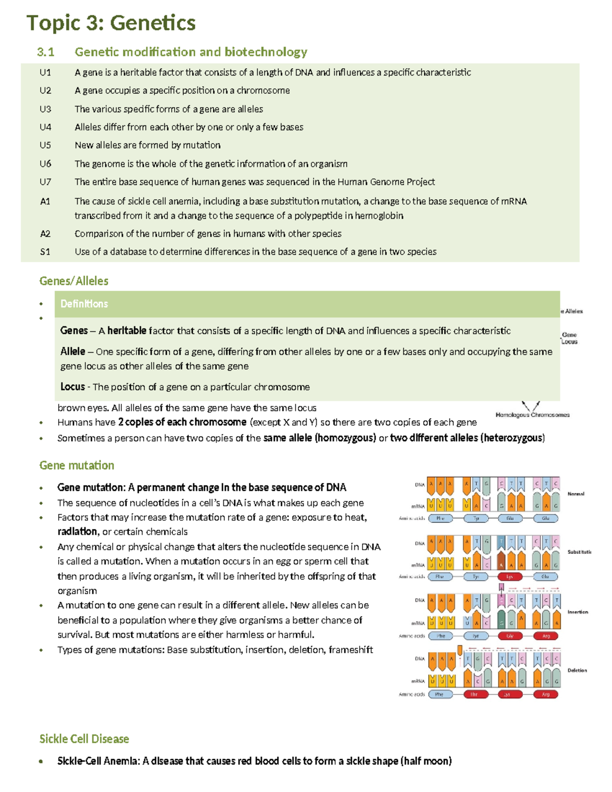 Biology Topic 3 - Topic 3: Genetics 3 Genetic modification and ...