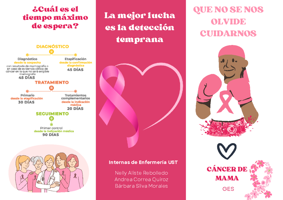 Brochure Triptico Cancer de Mama Ilustrado Rosado - CÁNCER DE MAMA GES ...