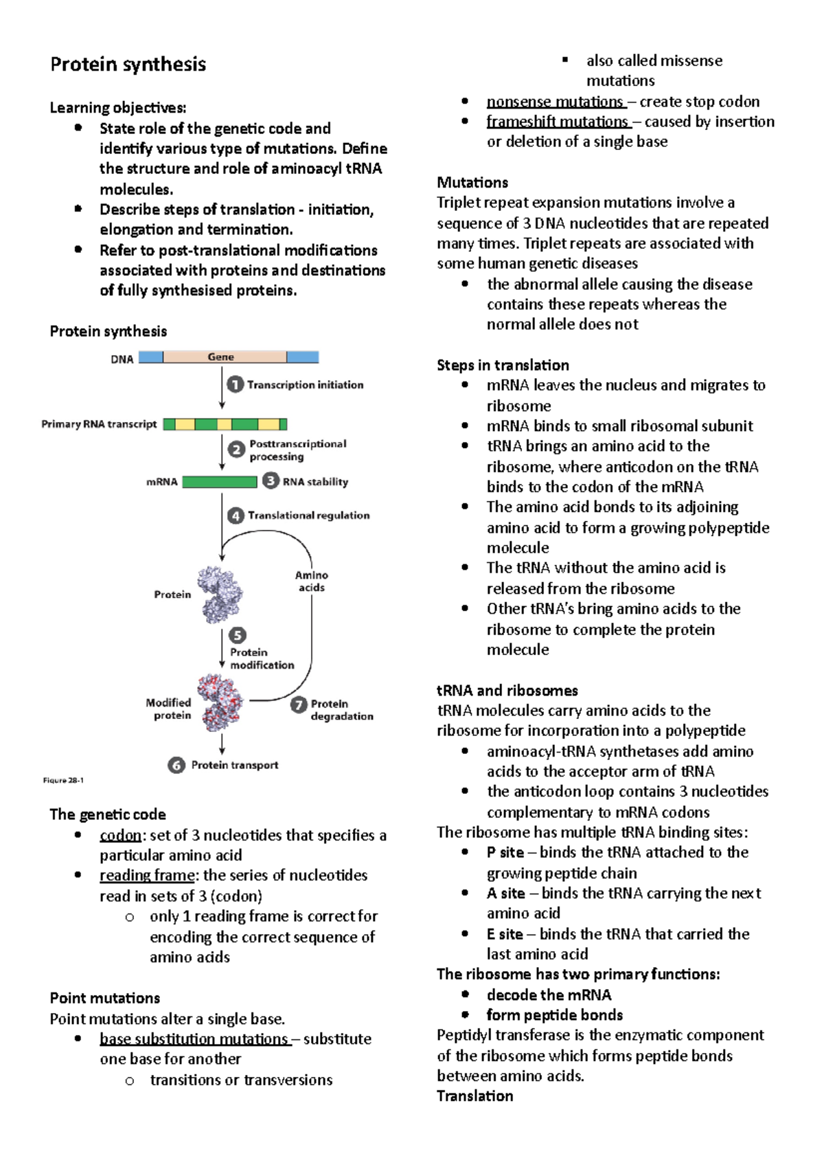 Protein synthesis - Protein synthesis Learning objectives: State role ...