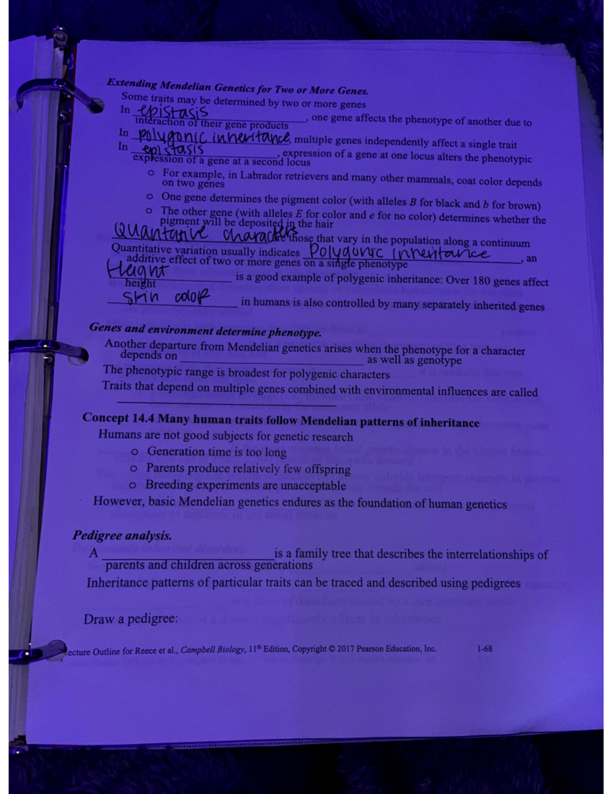 52 - general biology lecture notes - Extending Mendelian Genetics for ...