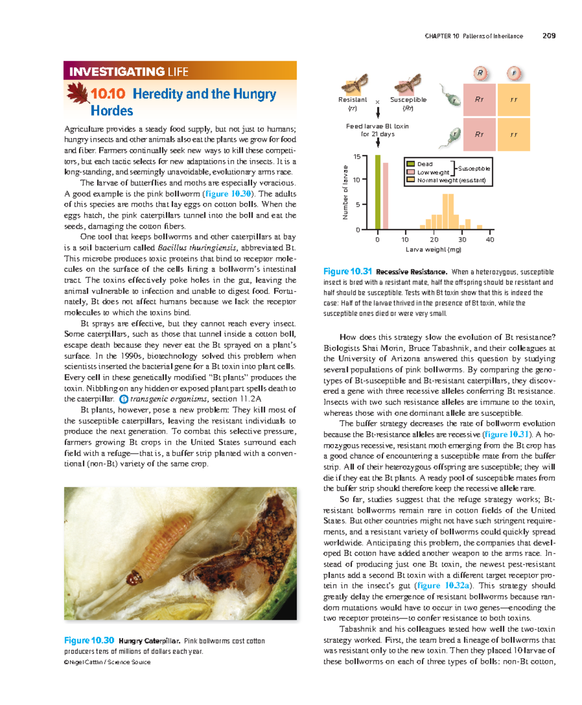 Biology Concepts and Investigations, Chapter Ten Review - INVESTIGATING ...
