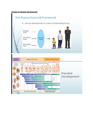 Syllabus Lifespan Development - Truman State University Department of ...