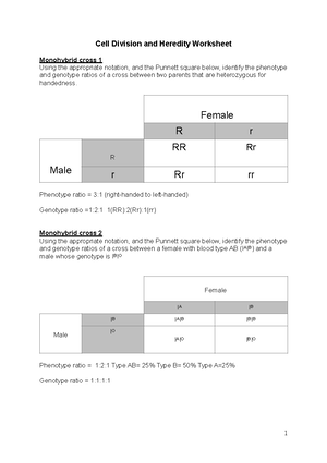 Cell Division and Heredity Work Sheet - Distinction - Cell Division and ...