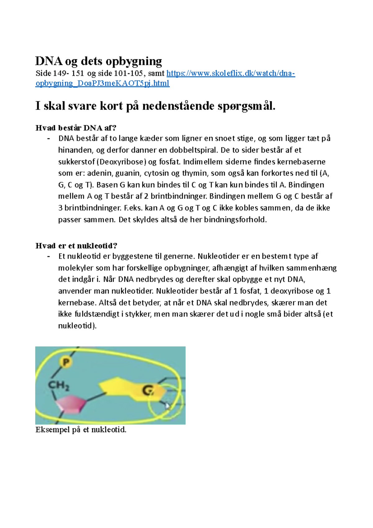 DNA og dets opbygning - I dette dokument får du et indblik på hvad DNA ...
