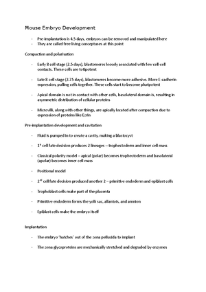 How Does Development Work? - How Does Development Work? Development is ...