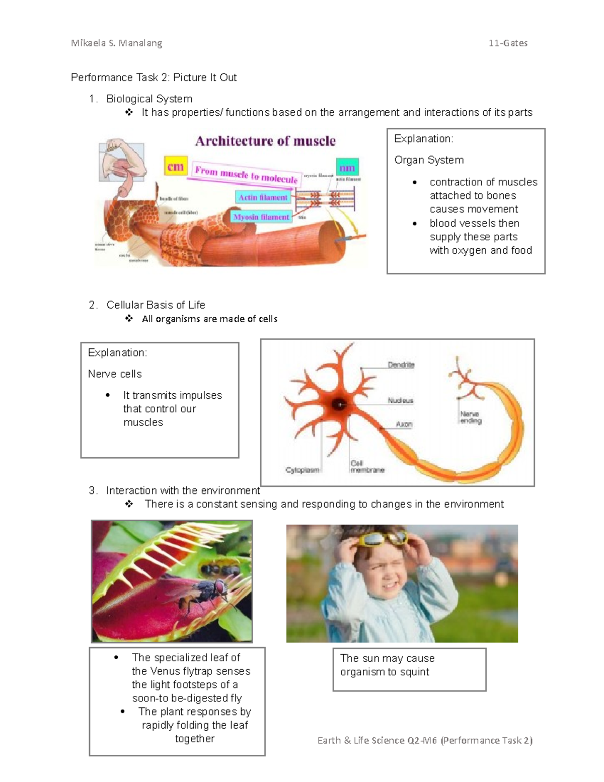 PT 2 - PT 2 Science - Performance Task 2: Picture It Out Biological ...